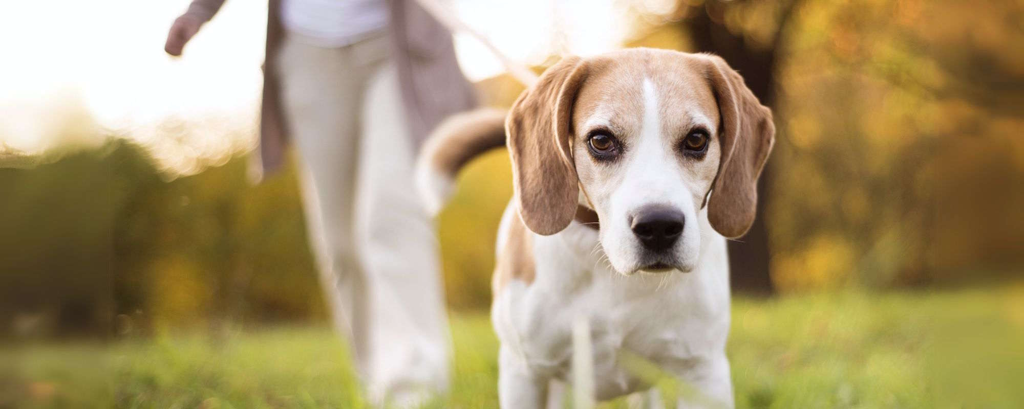 Vakantiehuis Tving-Karlskrona, Zuid-Zweden (Zweden) met hond ...